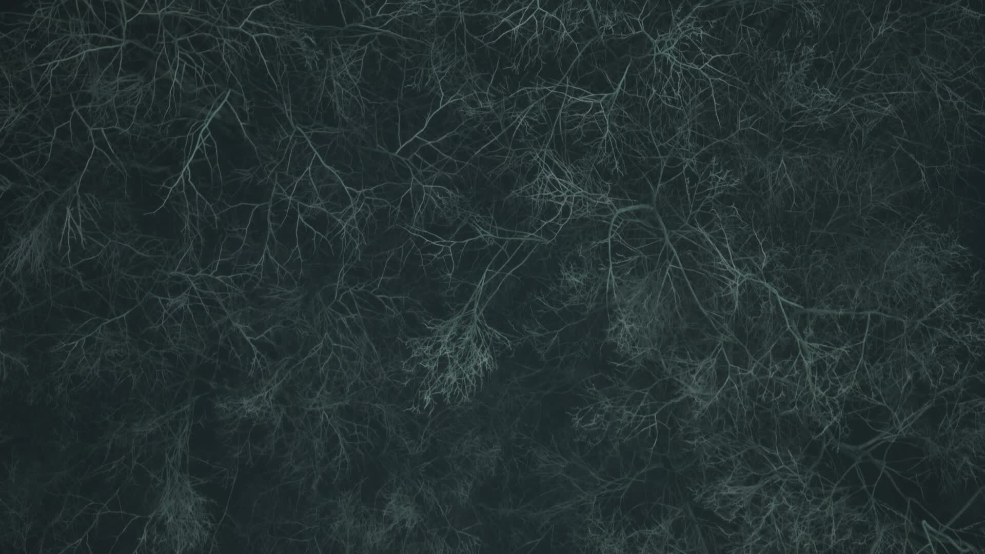 ArtStation - Creepy Swamp