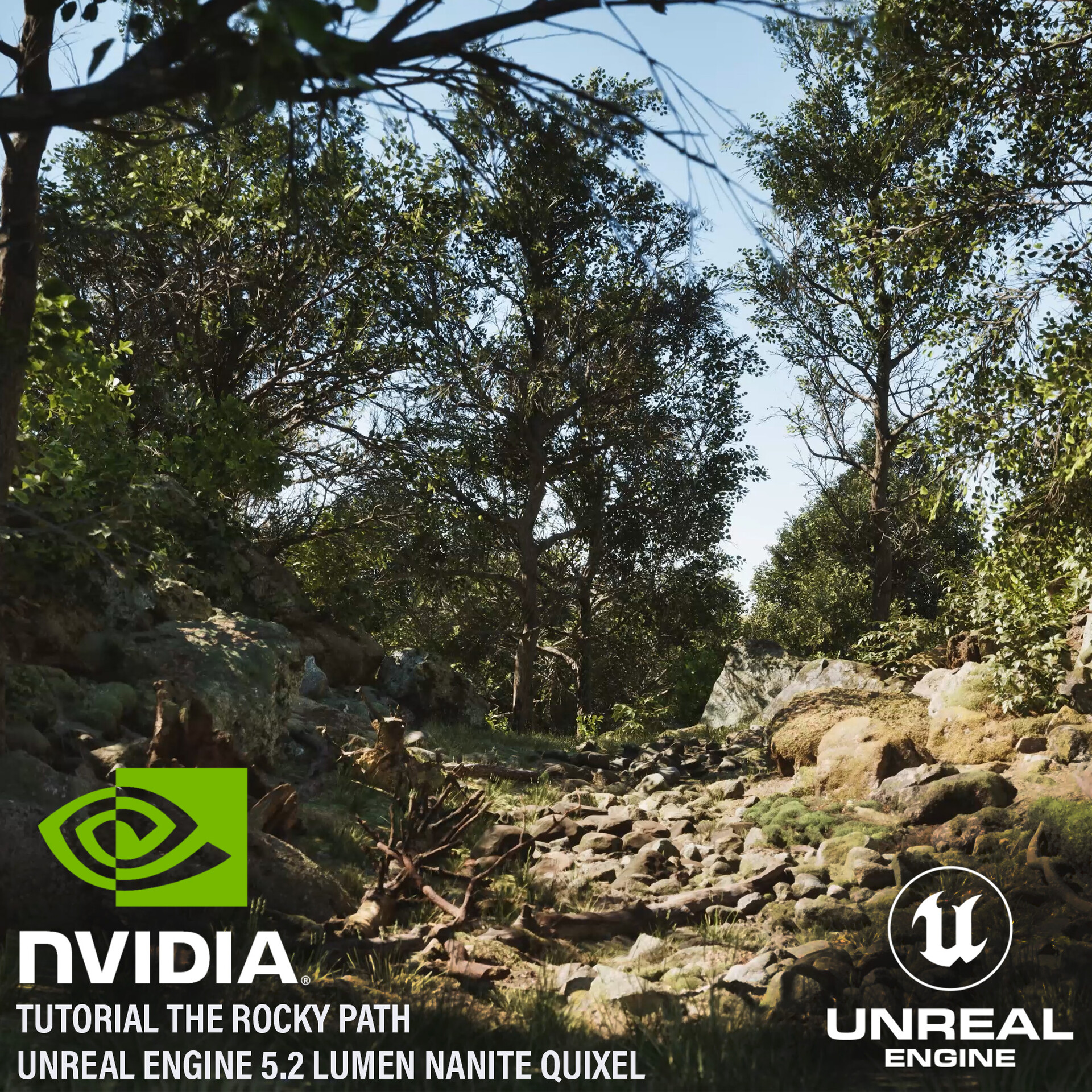 ArtStation - Tutorial The Rocky Path published by Nvidia Unreal Engine 5.2 Lumen Nanite Quixel