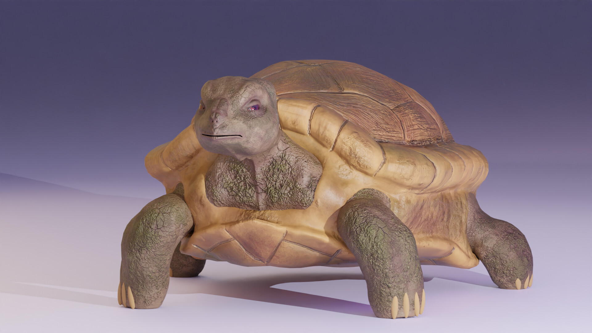 ArtStation - Tortoise