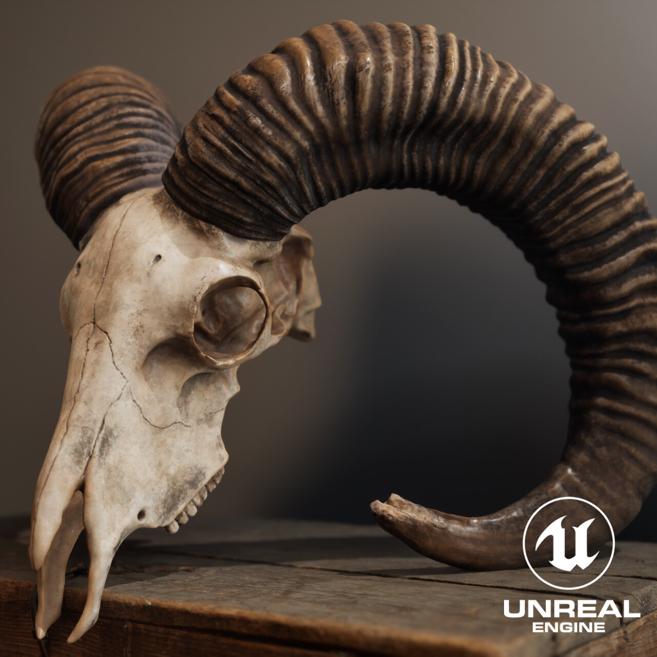 ArtStation - Goat Skull