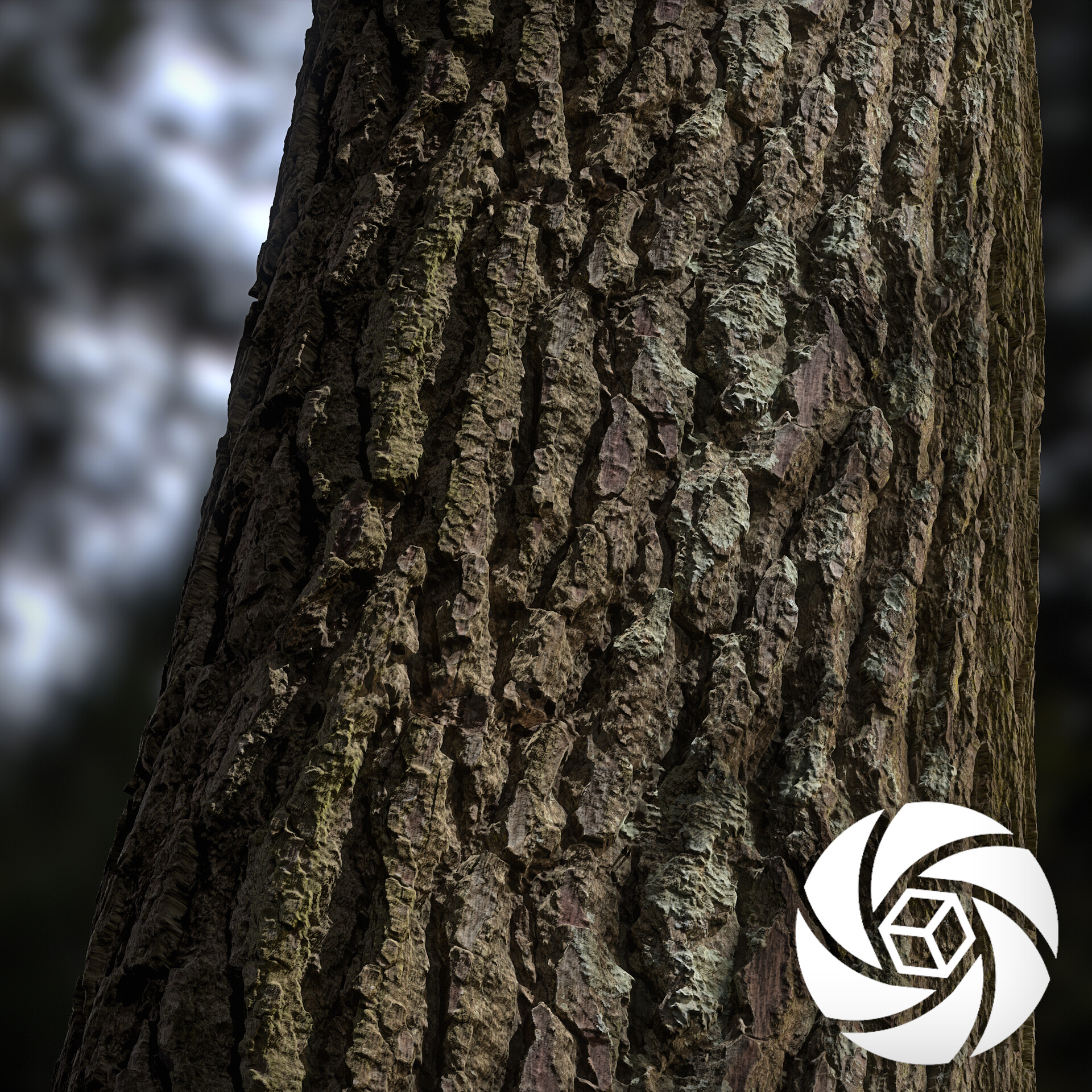 ArtStation - Photogrammetry PineBark material