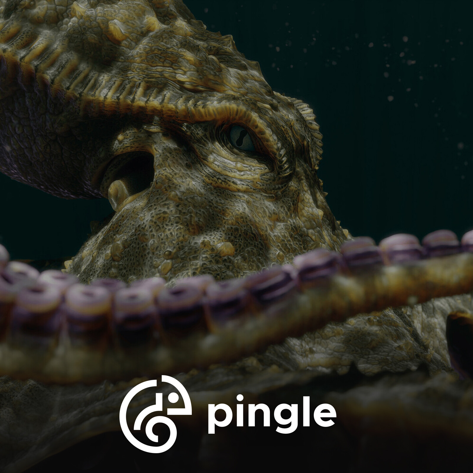 Pingle Studio - Kraken