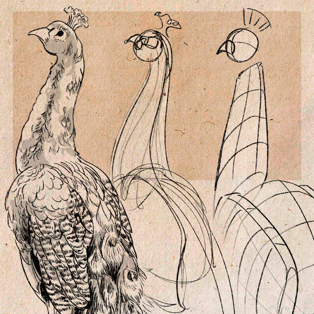 ArtStation - Dynamic Sketching | Animals Study