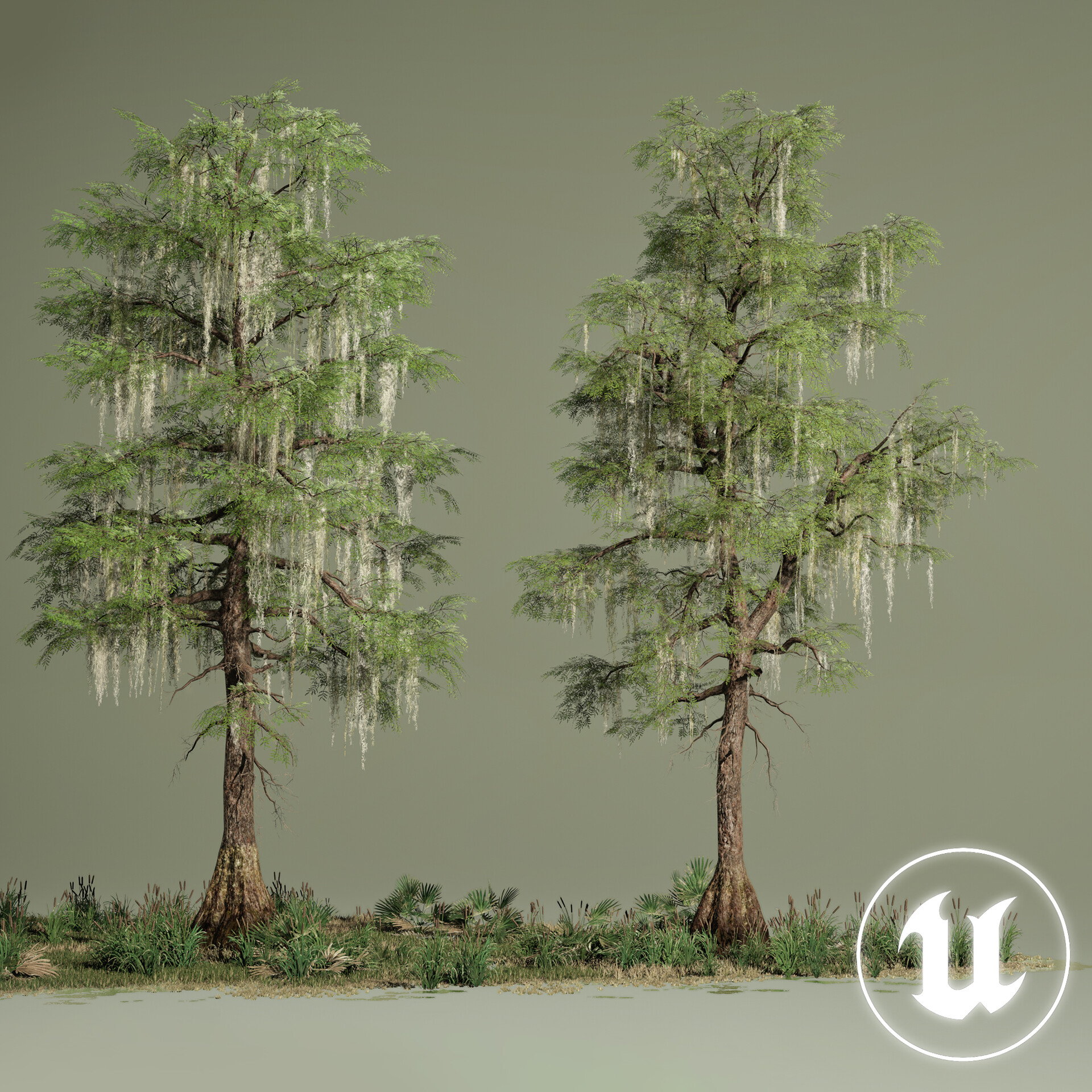ArtStation - Louisiana Bayou: Foliage Study