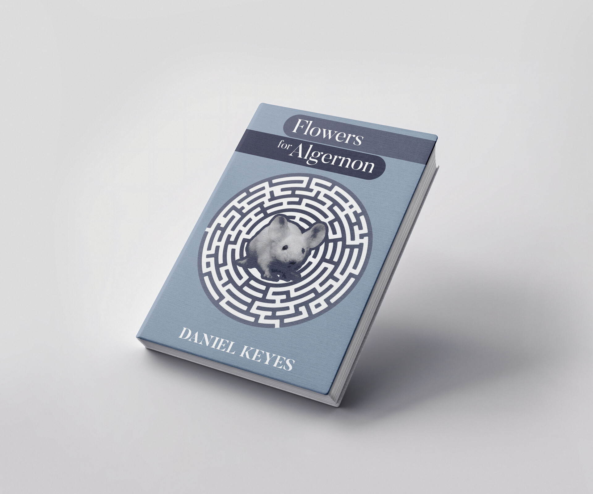 ArtStation - Book Cover Design