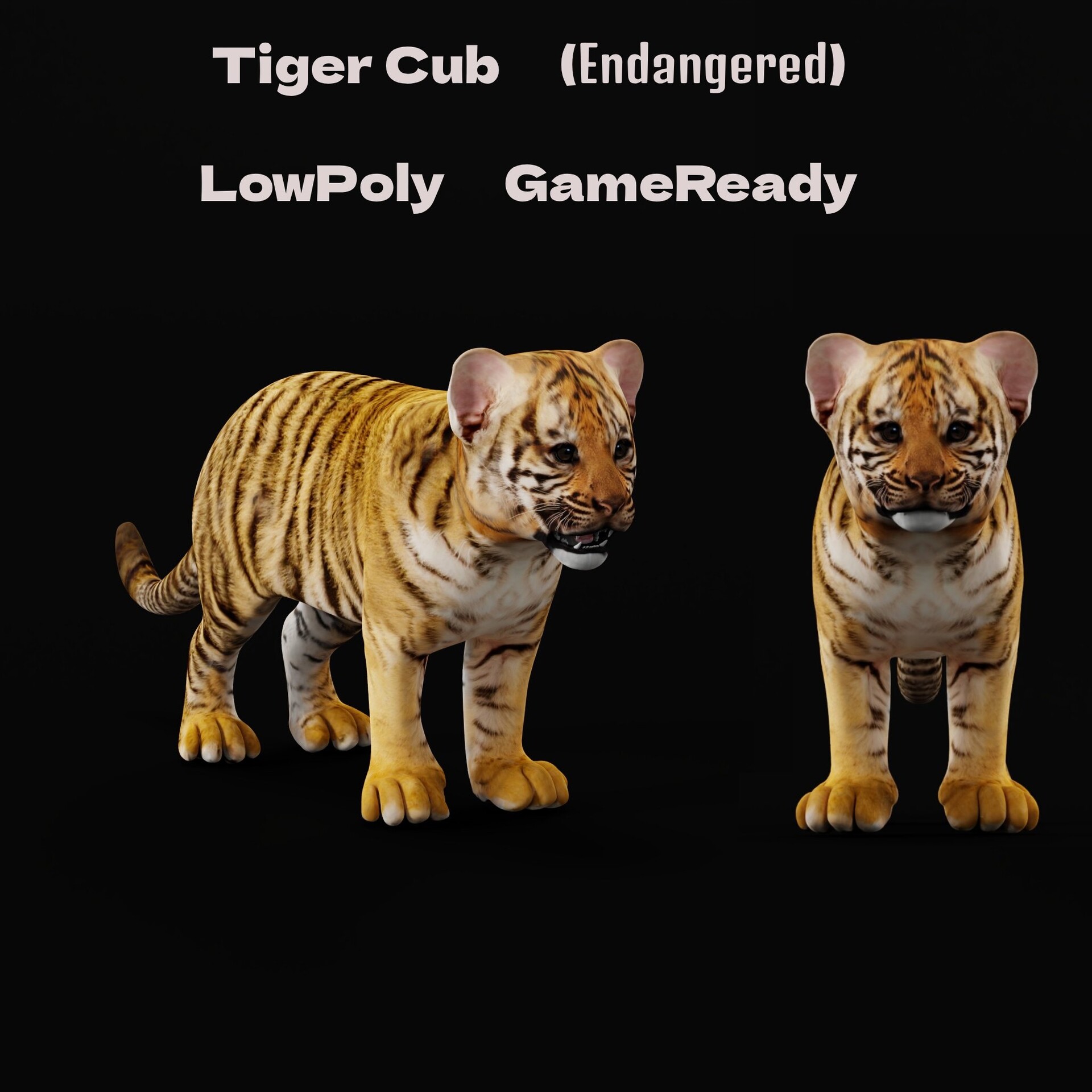 ArtStation - Tiger Cub Mammal