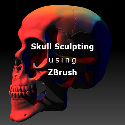 ArtStation - Skull Sculpting using ZBrush