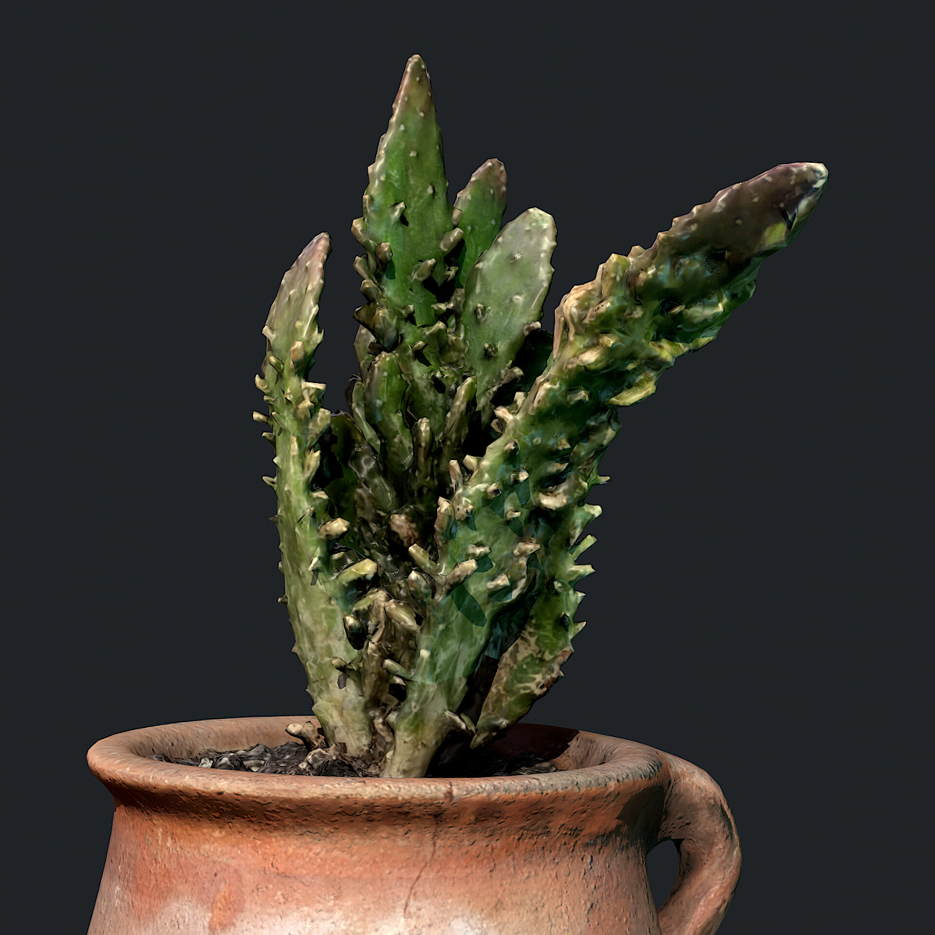 ArtStation - Cactus AG