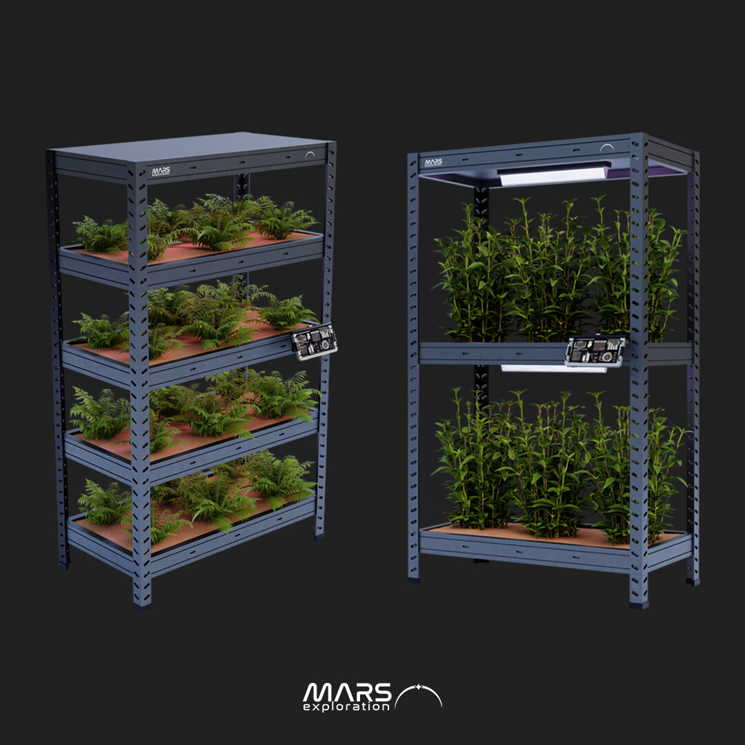 ArtStation - Mars Exploration