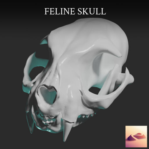 ArtStation - Feline Skull Sculpt