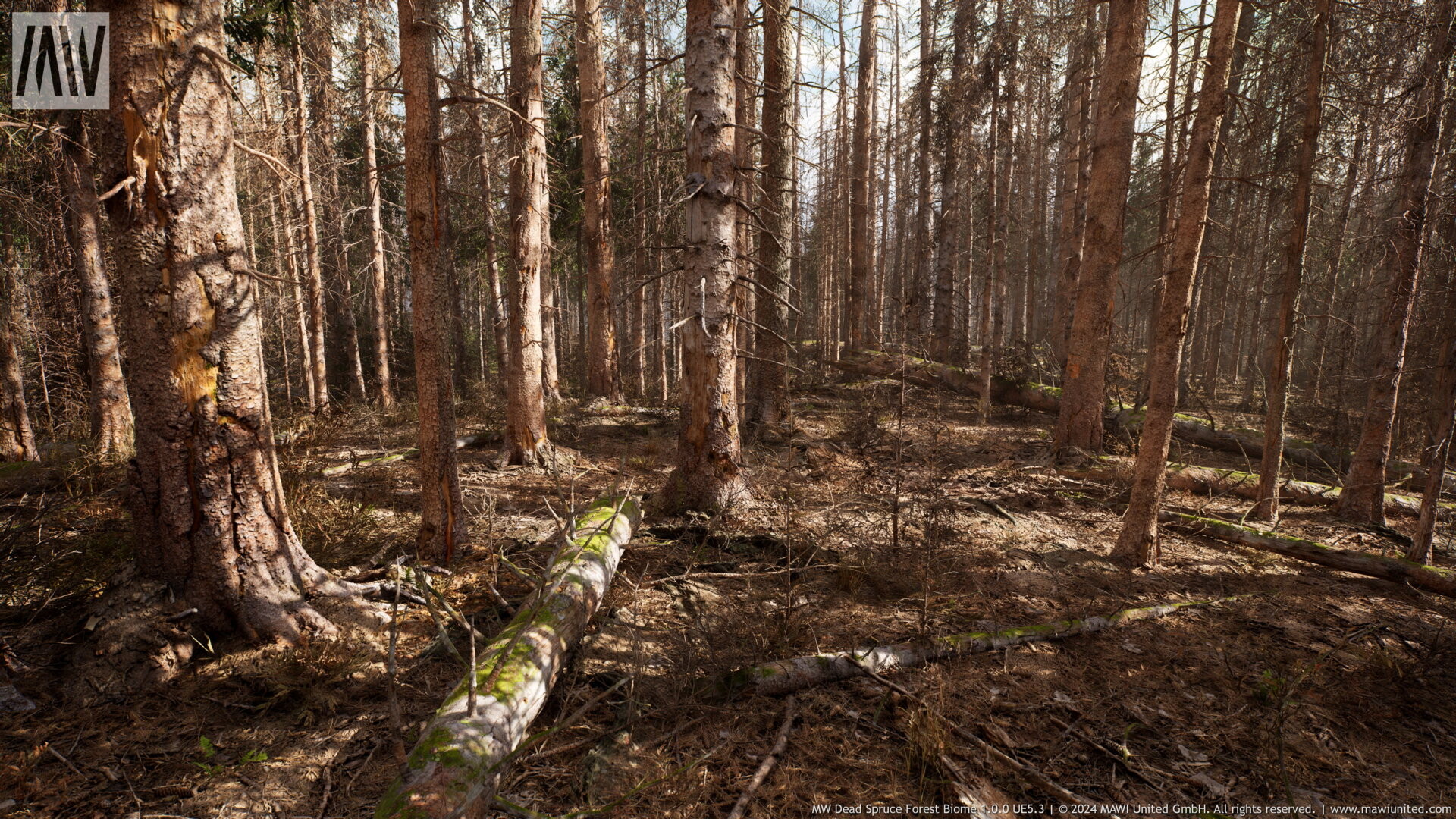 ArtStation - MW Dead Spruce Forest Biome - UE5.3 Forest Walk