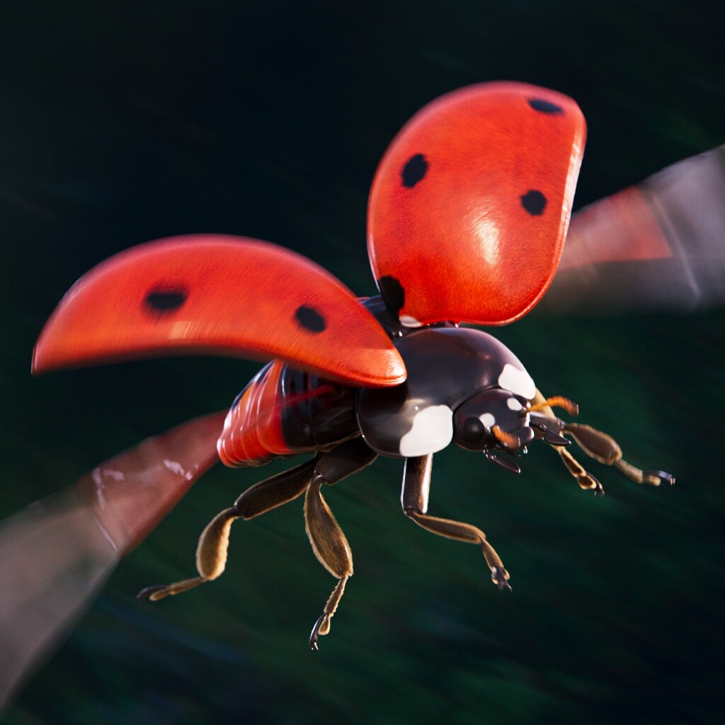 ArtStation - Ladybug Animated - MAYA Character Asset