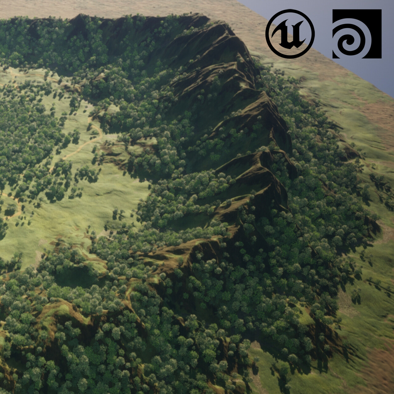 ArtStation - Landscape : Diamond Head