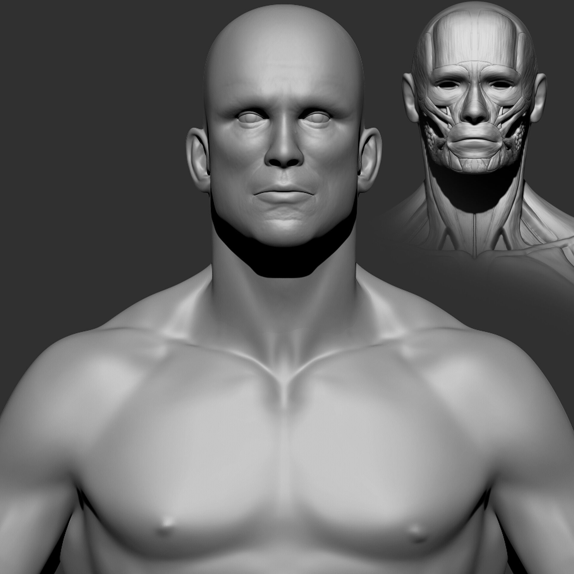 ArtStation - Male Human Body Study
