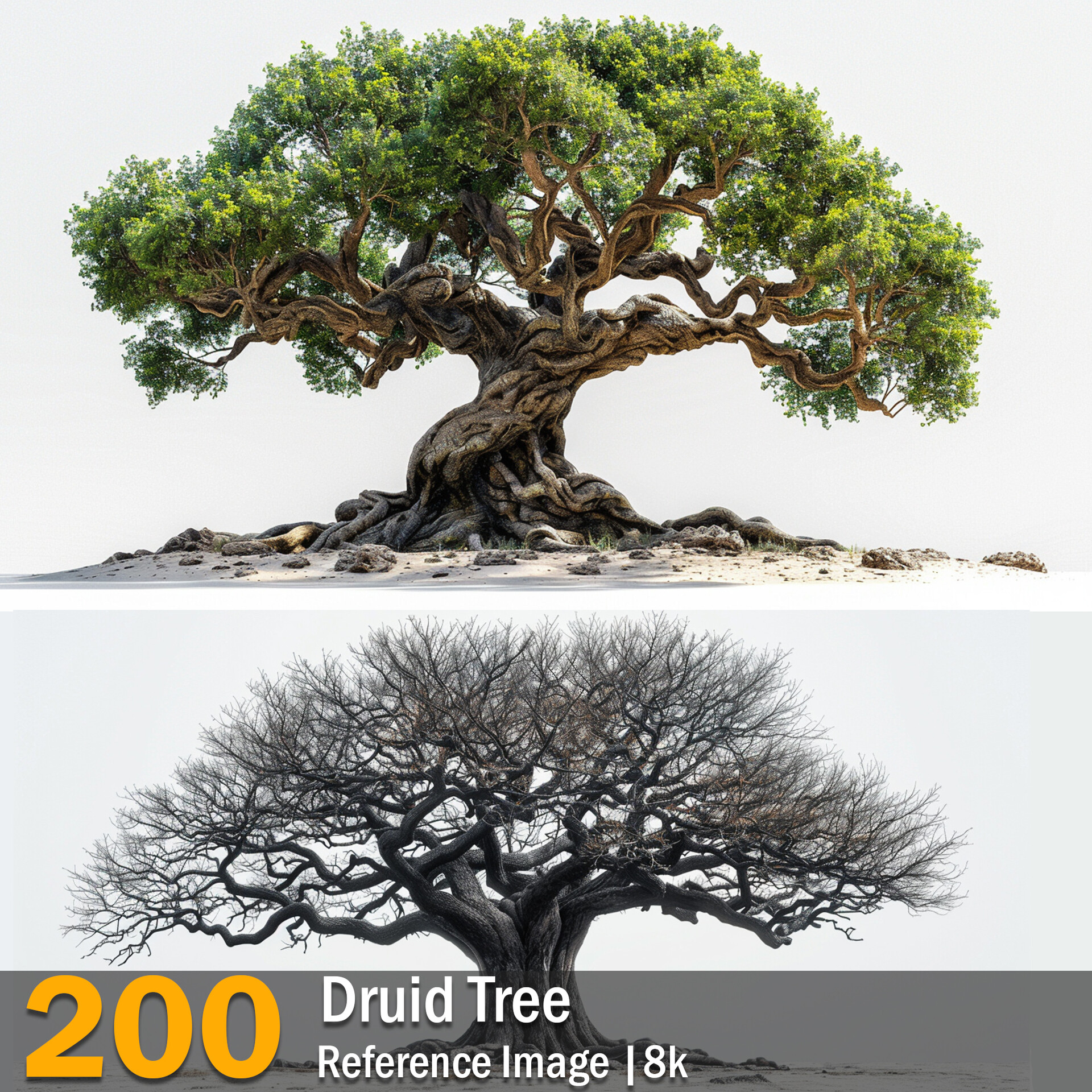 ArtStation - Druid Tree | Reference Images | 8k