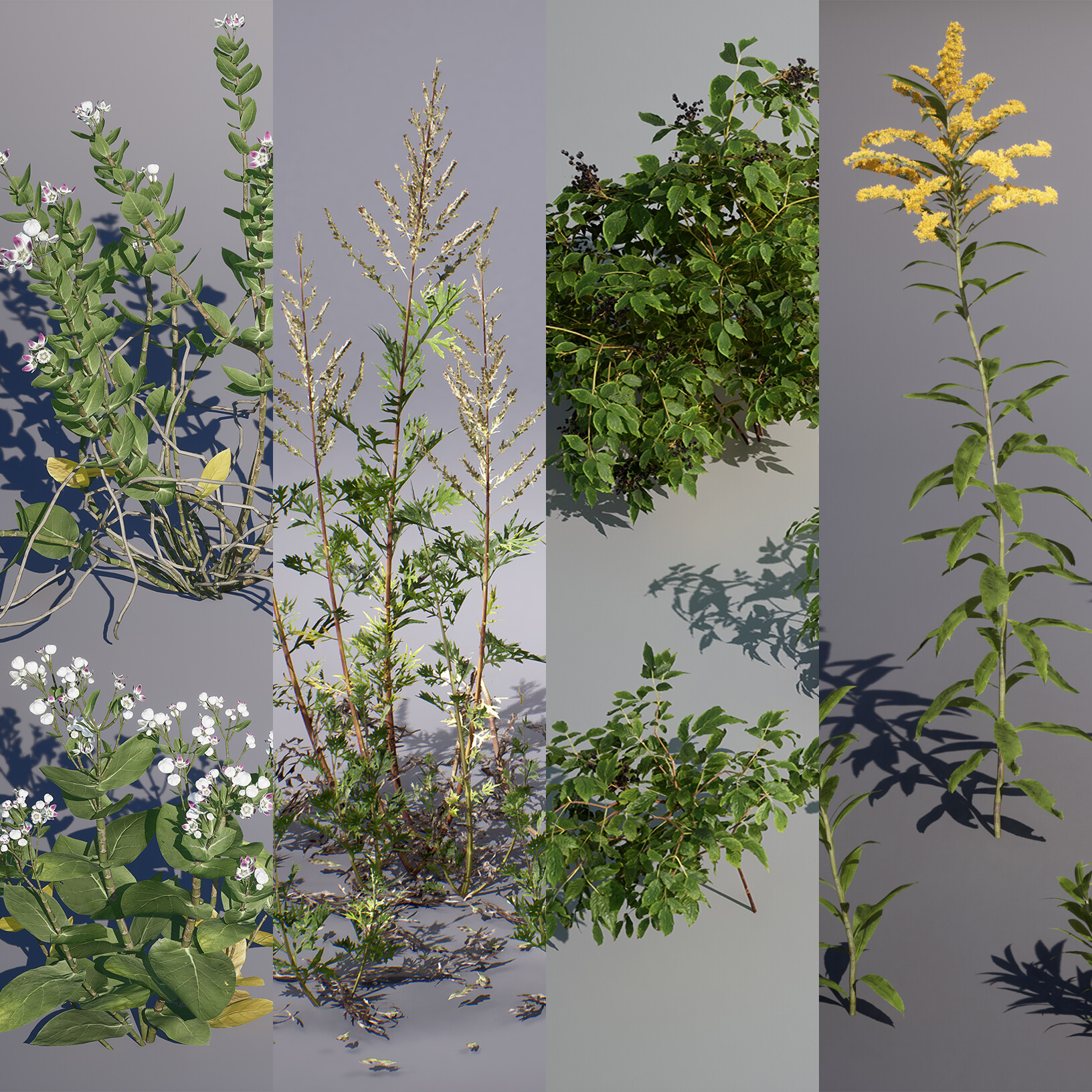 ArtStation - Quixel Megascans Plants Vol. 1