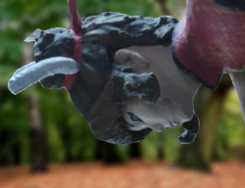 Bruno Ricetti - Portfolio