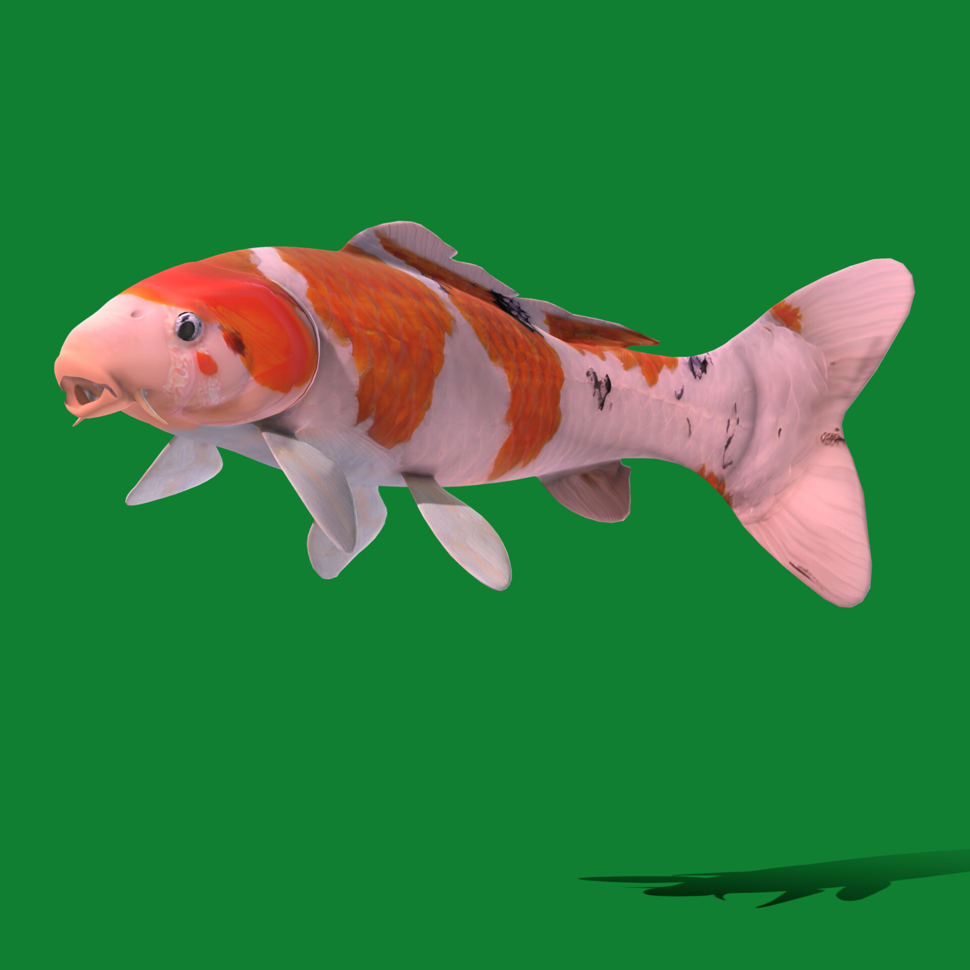 ArtStation - Nishikigoi Koi Fish