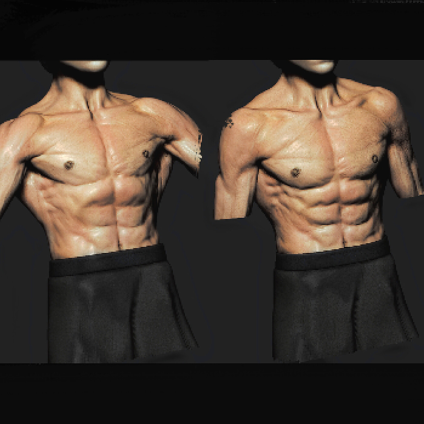 ArtStation - Torso Animation Study - Timelapse [Zbrush]