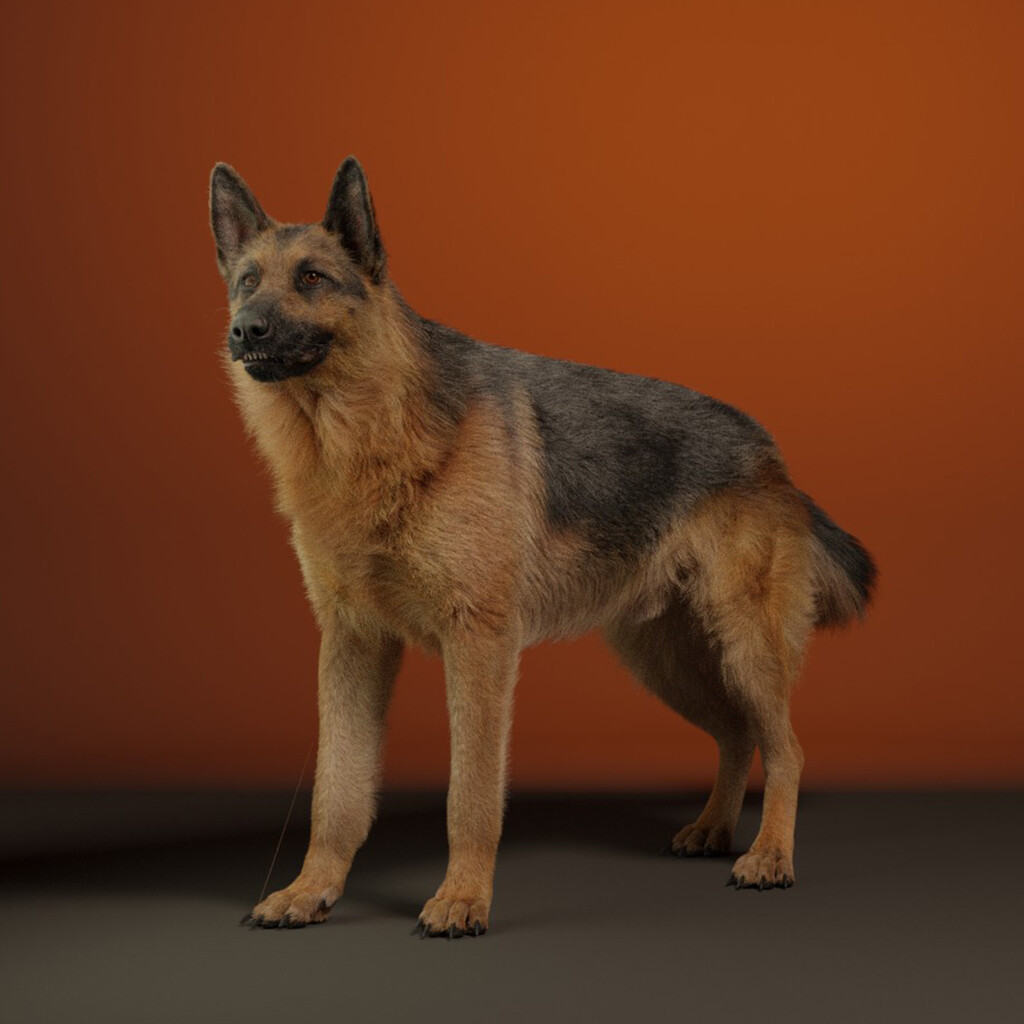 ArtStation - Fur - Render