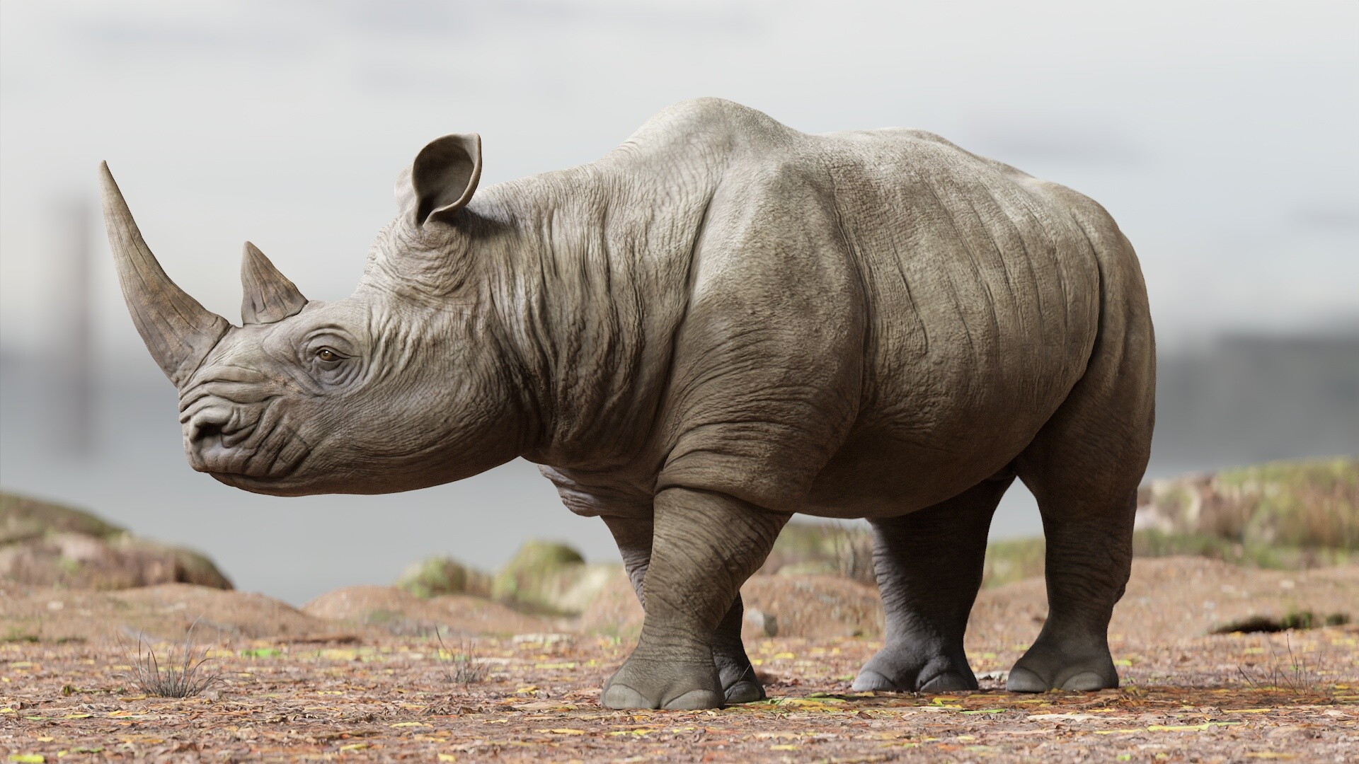 ArtStation - White rhinoceros