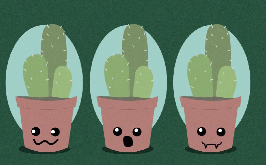 ArtStation - Cactus - Animation