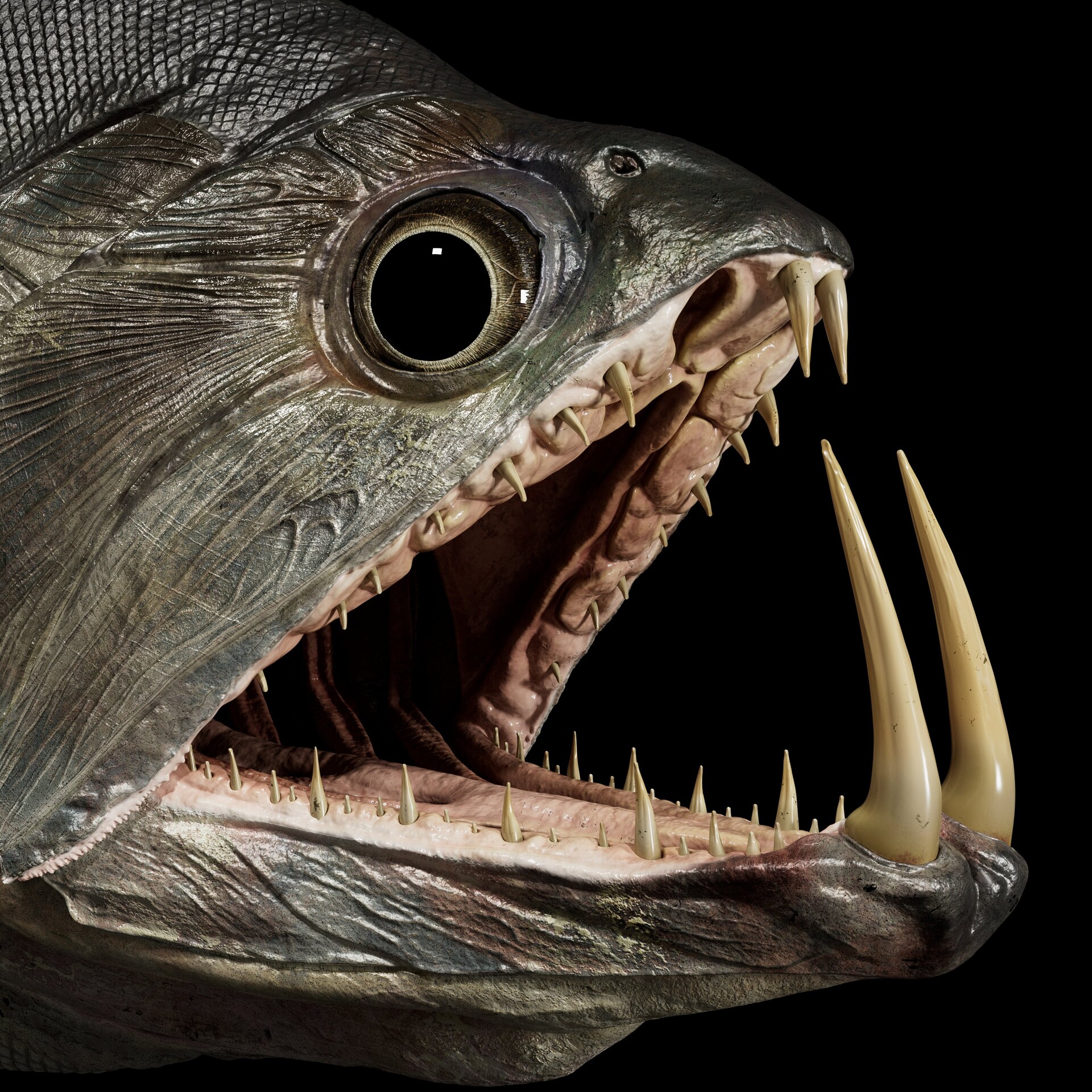 ArtStation - Payara Fish