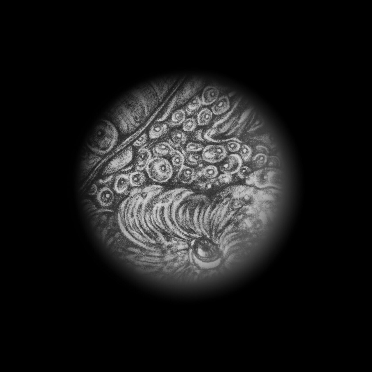 Natalie Chiu - Polymorphs ( solo show @ Hidden Space HK )