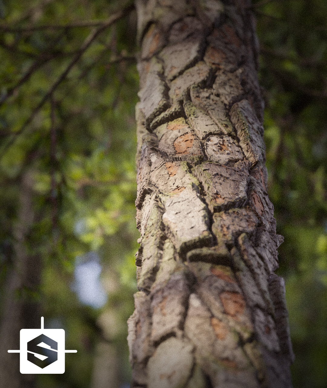 ArtStation - Pine Bark Material