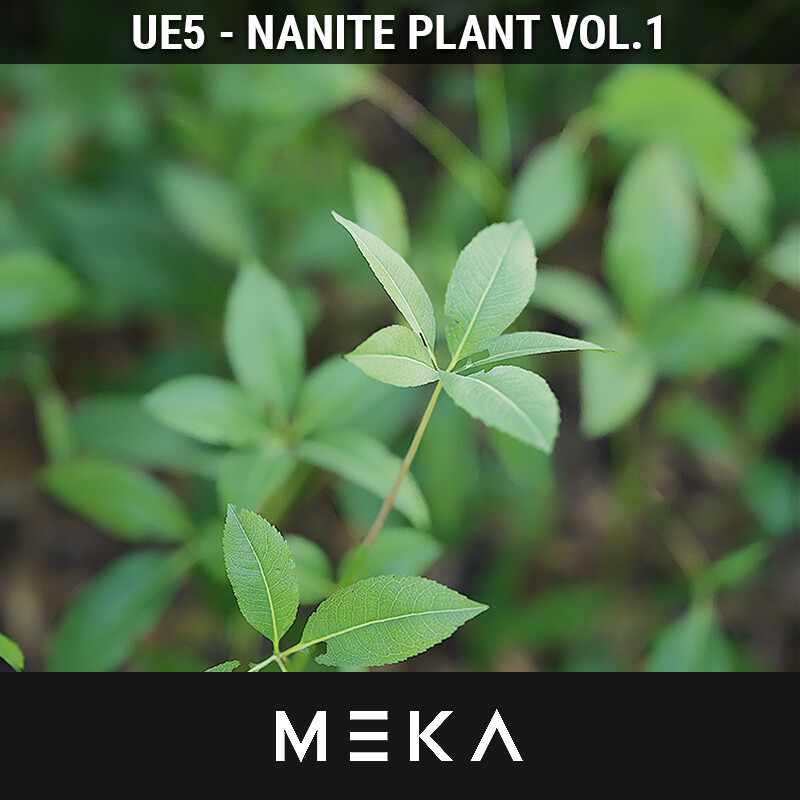 ArtStation - UE5 - Nanite Plant Vol.1