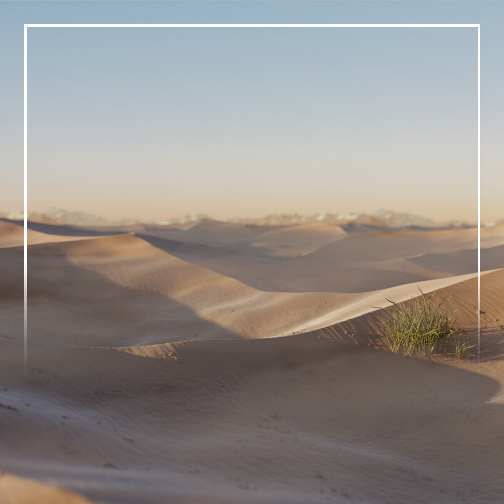 ArtStation - Desert Environment with Blender Shader Nodes