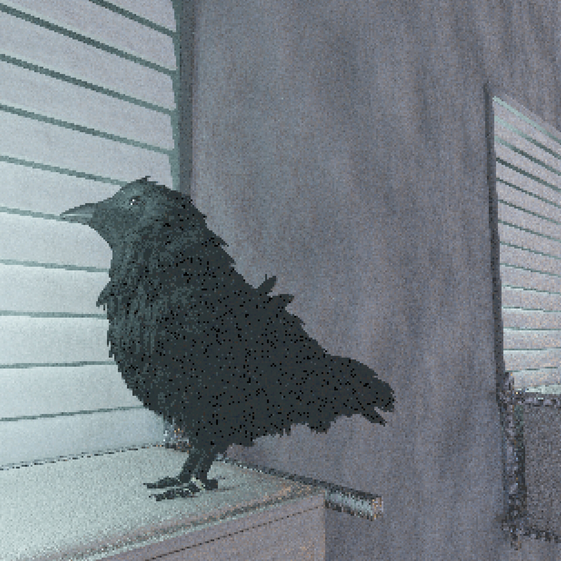 ArtStation - The Raven Outside My Window