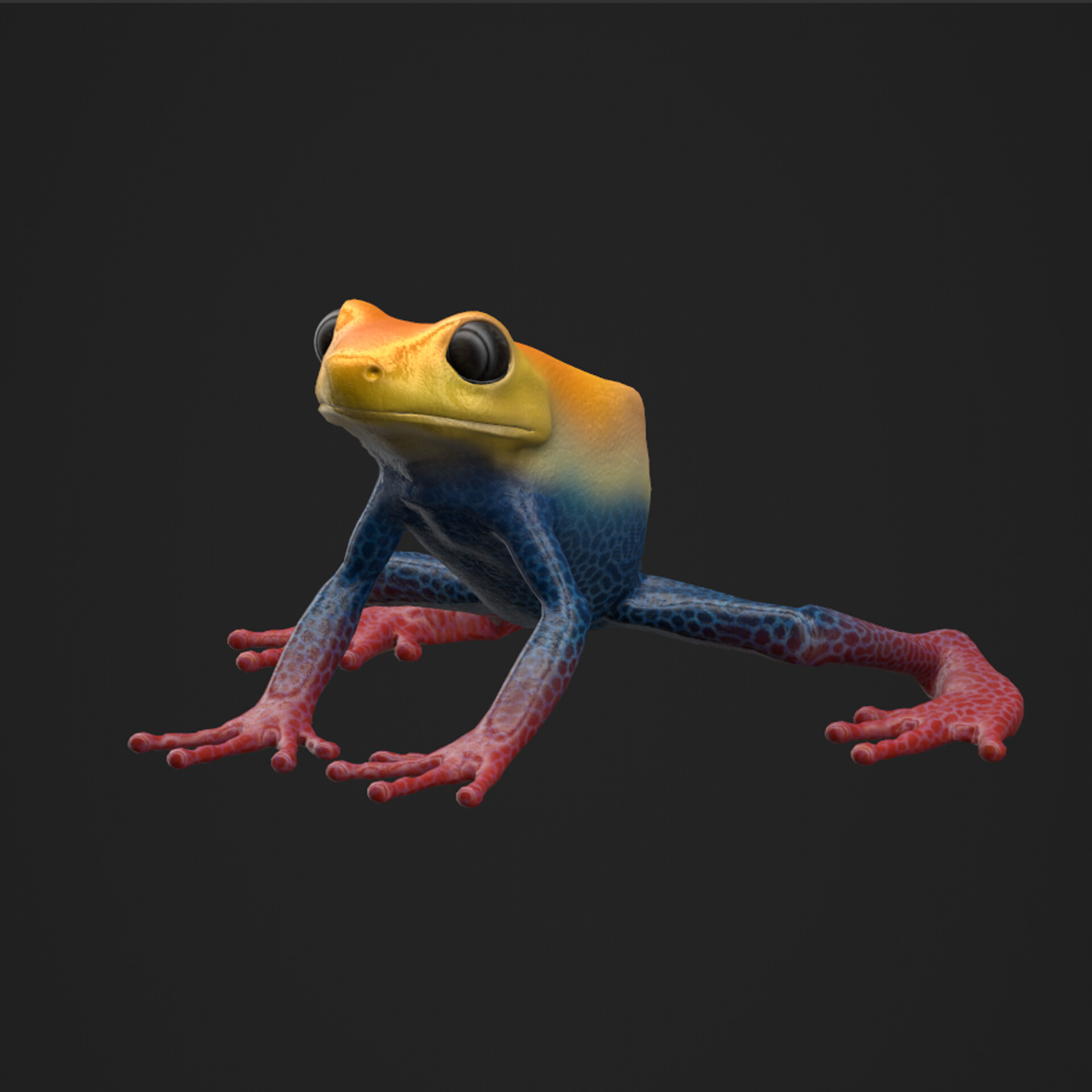 ArtStation - Poison frog