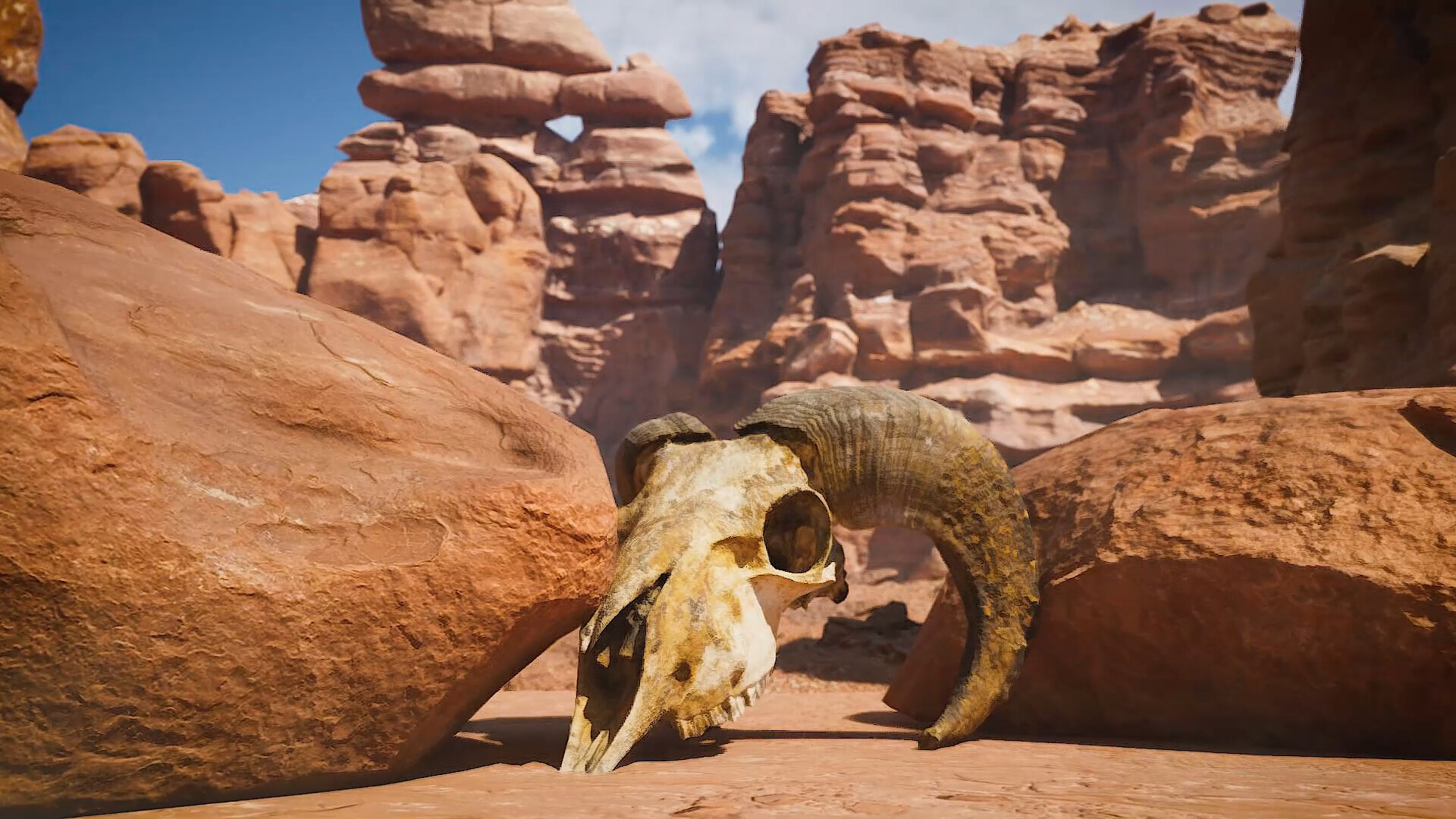 ArtStation - White skull animation render