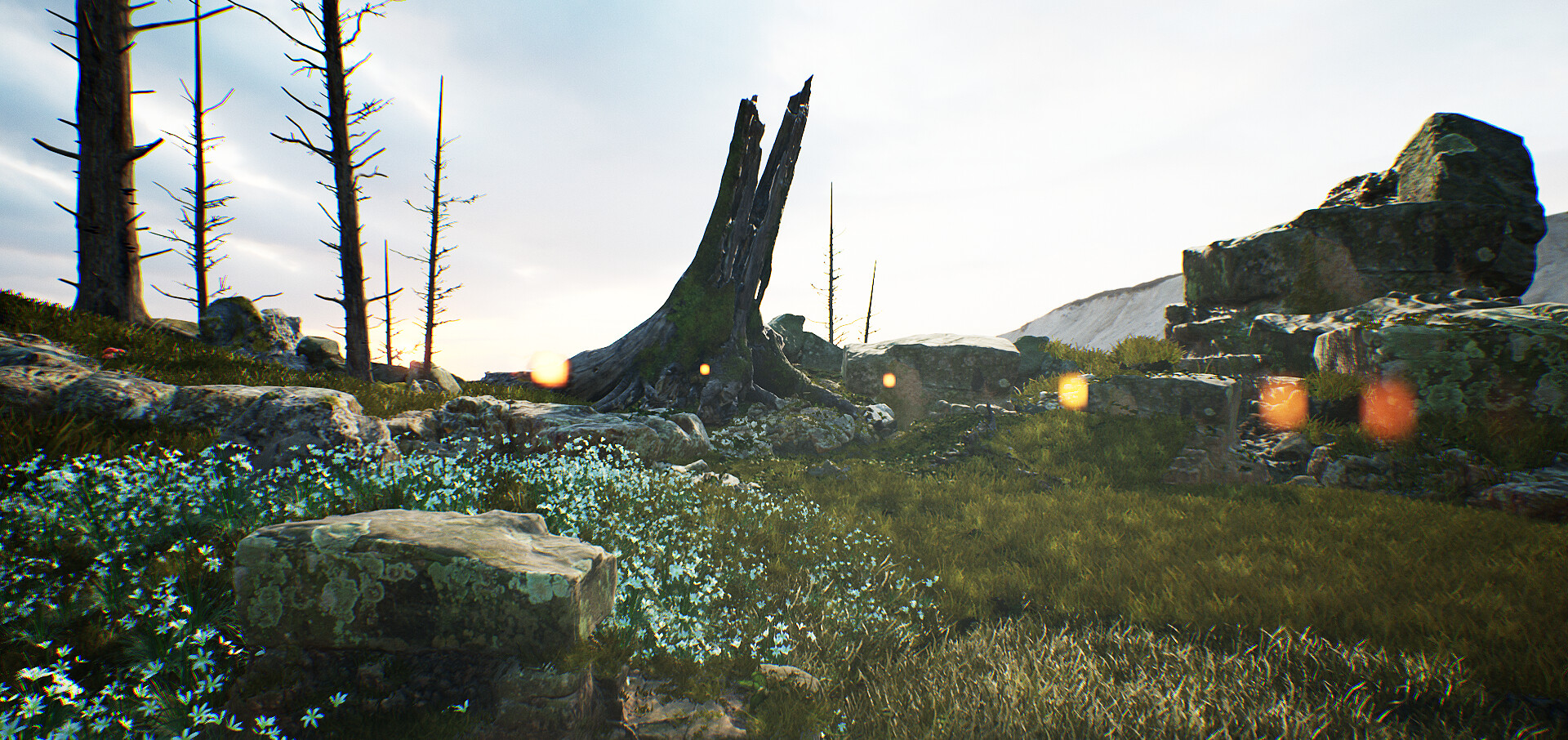 ArtStation - Open forest UE4
