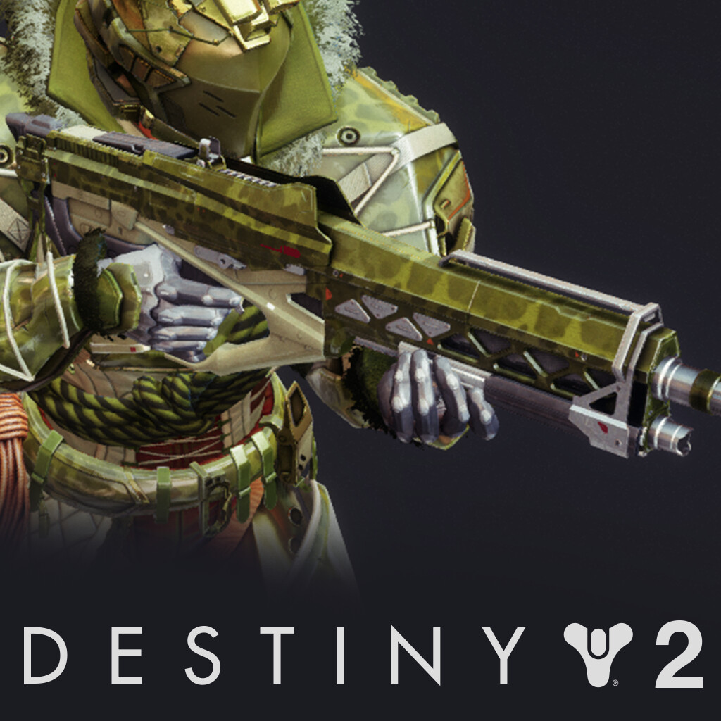 ArtStation - Destiny 2 - Deceptive Markings - Legendary Shader
