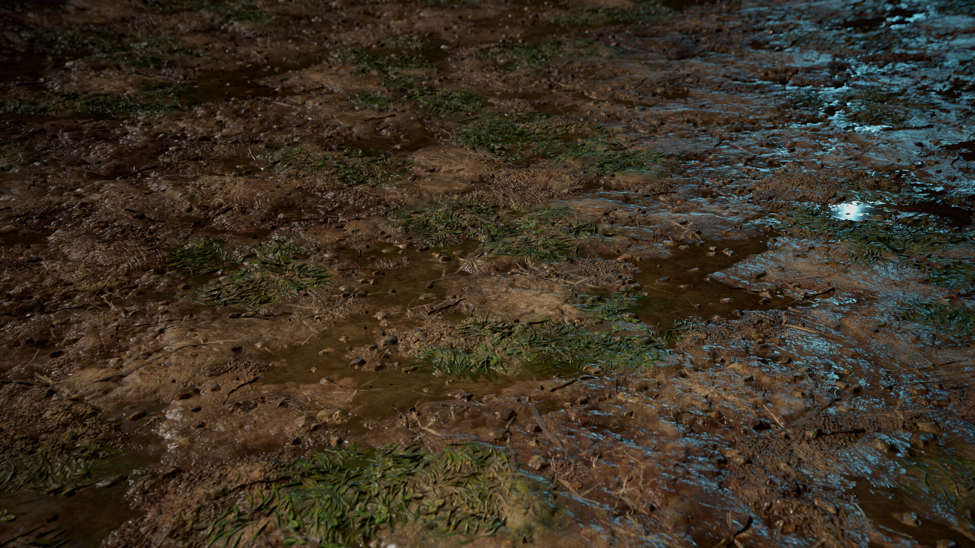 ArtStation - wet mud