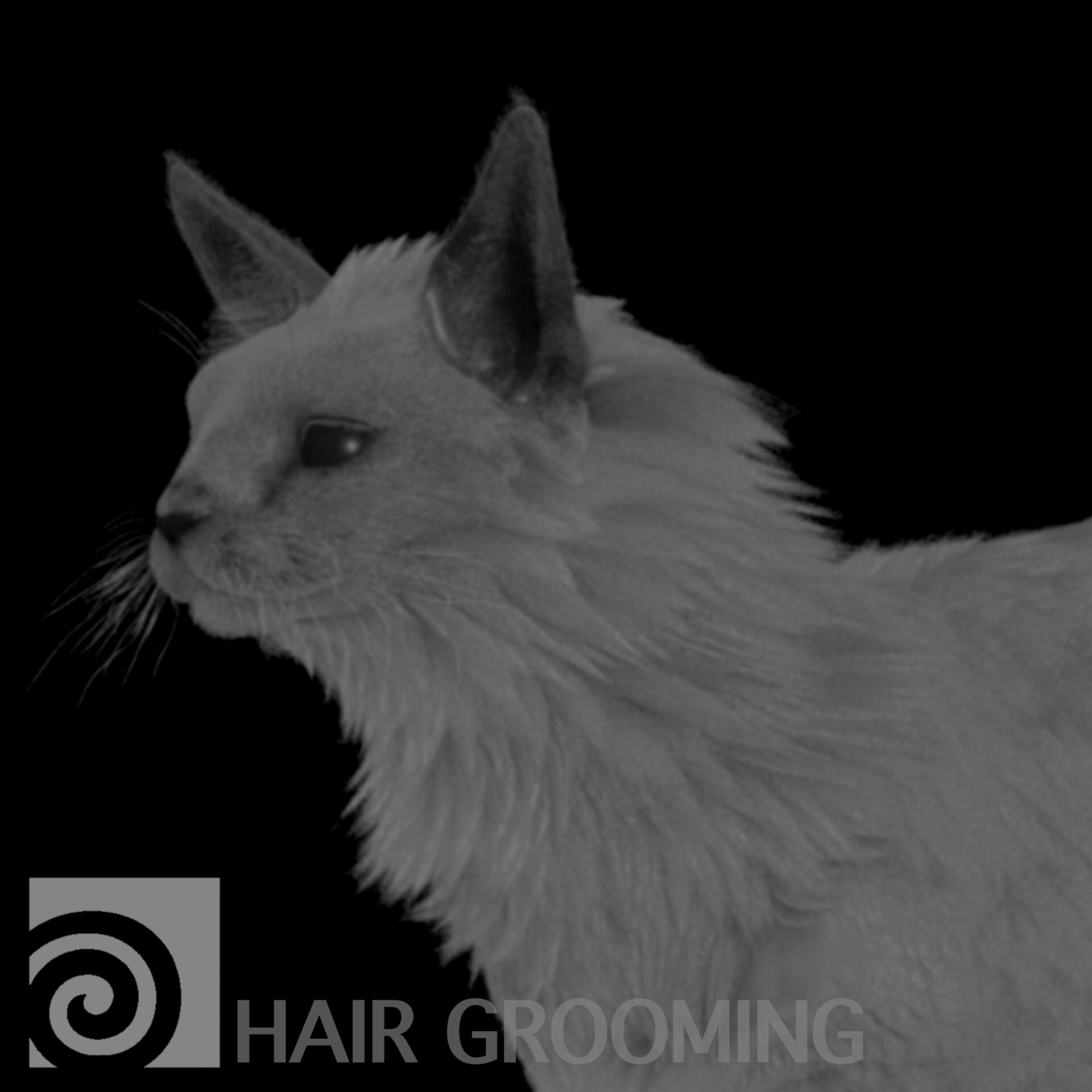 Timeea Rublic - Cat hair - Houdini Grooming