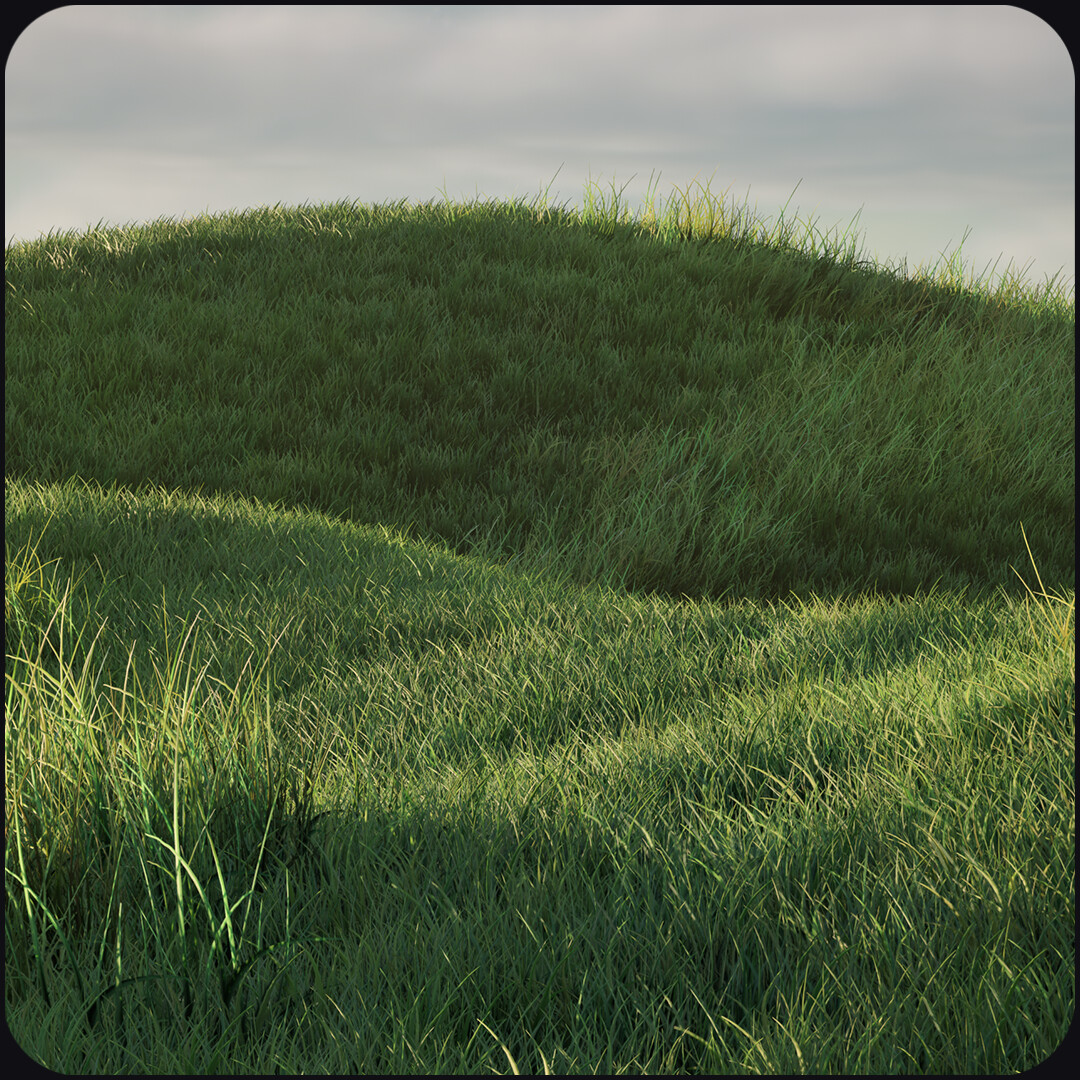 ArtStation - Wind & Grass - UE5 & Designer Material