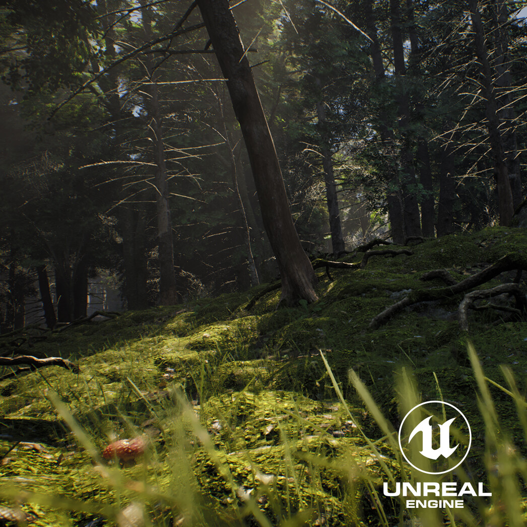ArtStation - A PCG Forest Project-Gaea,Houdini to Unreal 5