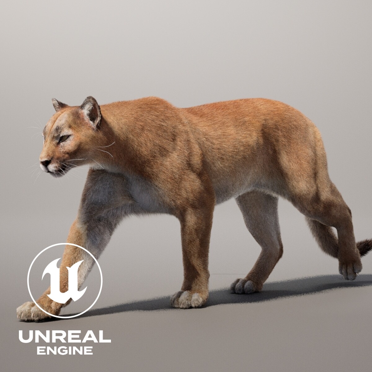 ArtStation - Puma-Unreal Engine