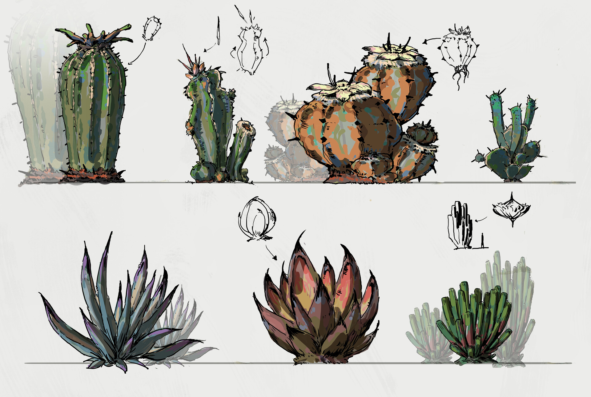 ArtStation - Desert ecological design