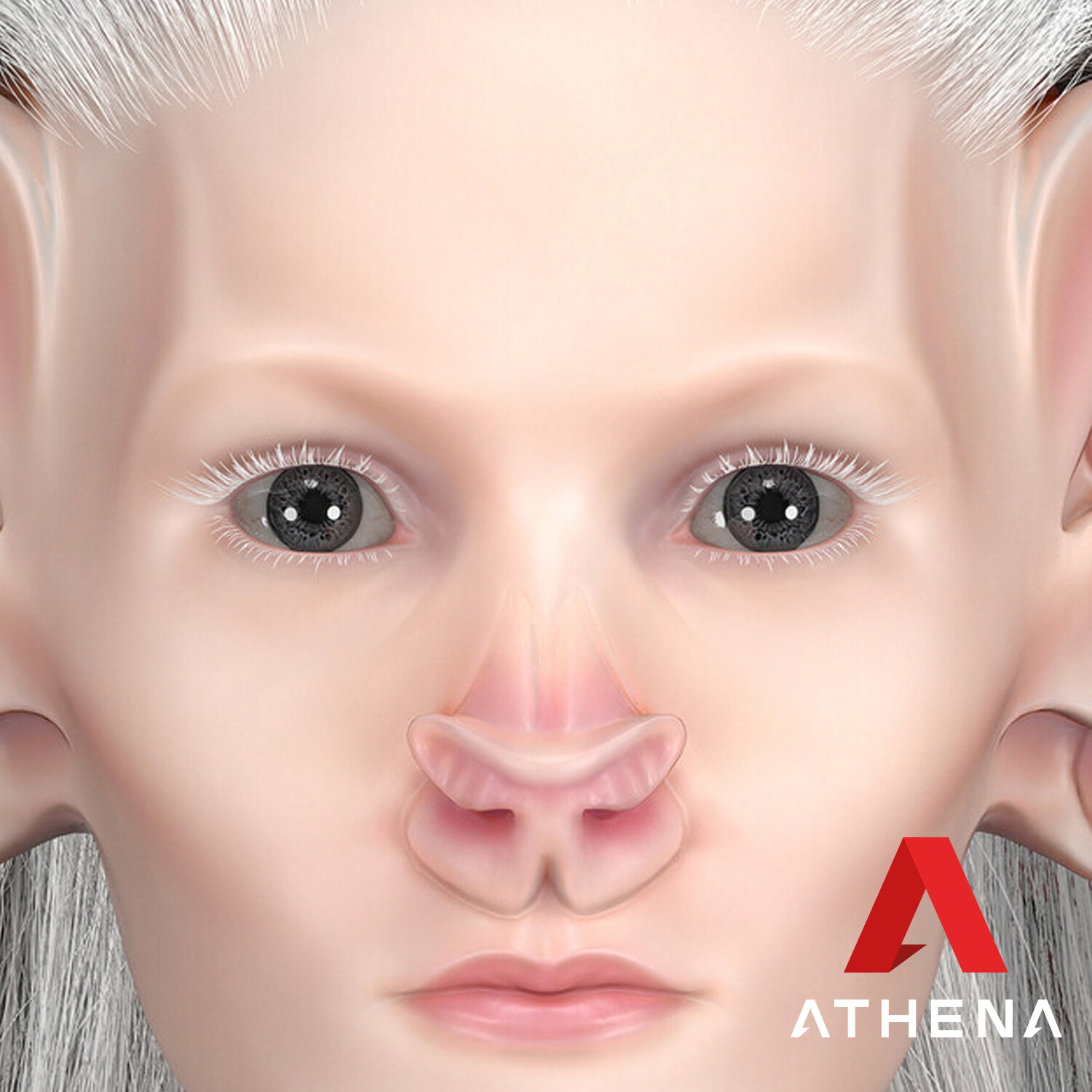 Athena Studio - The Bat