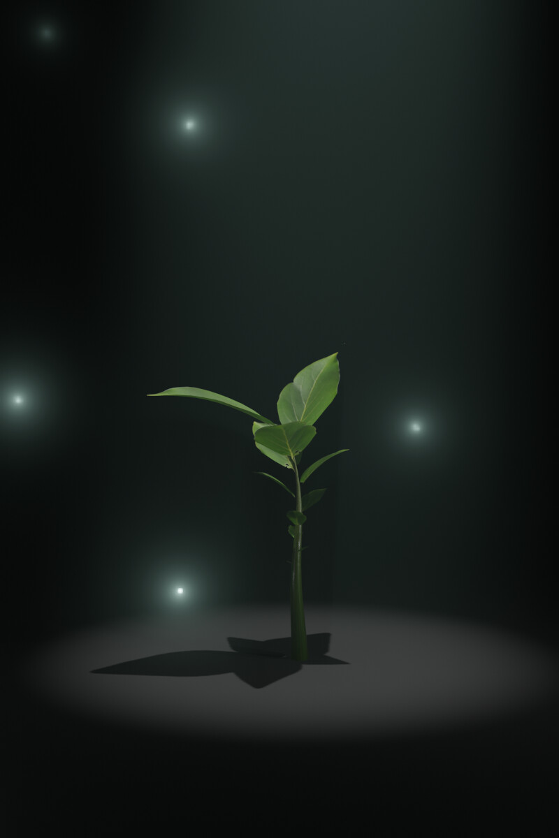ArtStation - Plant growing animation