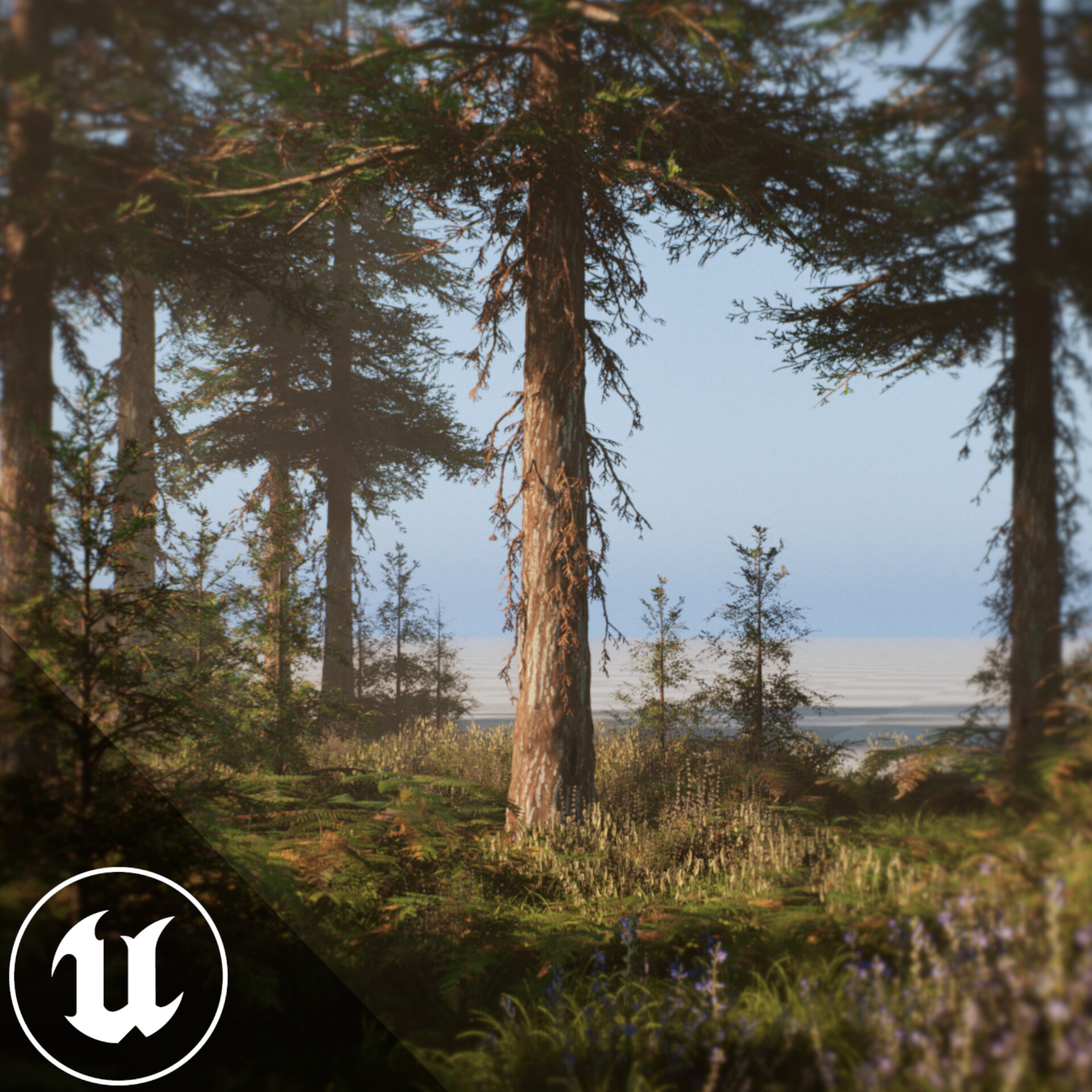ArtStation - Pine Forest