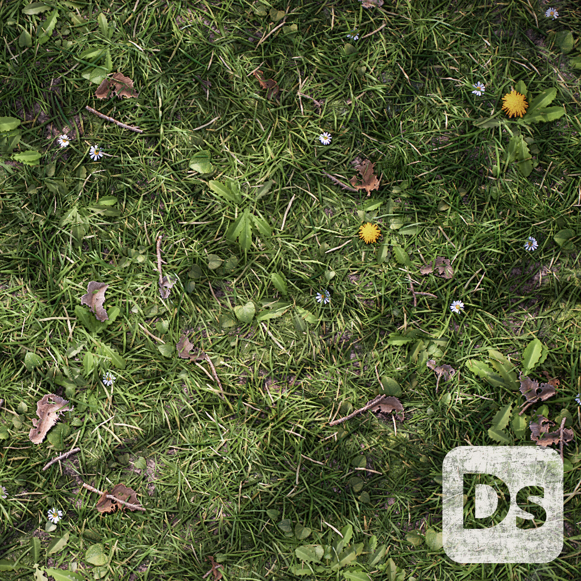 ArtStation - Grass Material - Substance 3D Designer