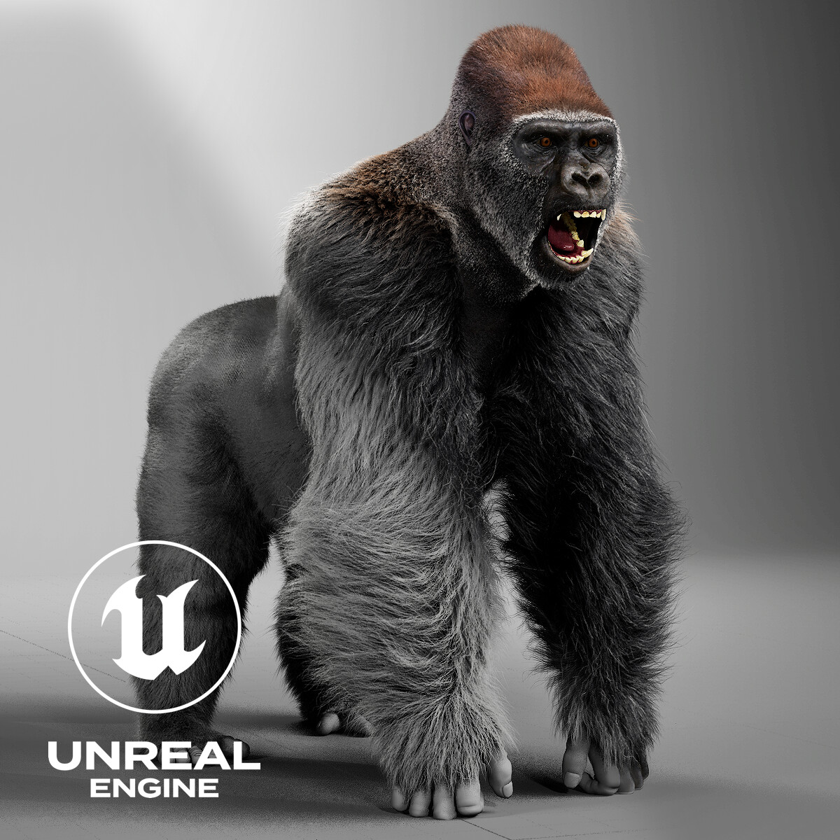 ArtStation - Silverback Gorilla