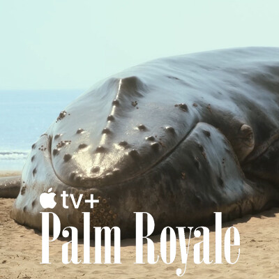 ArtStation - Palm Royale : Whale