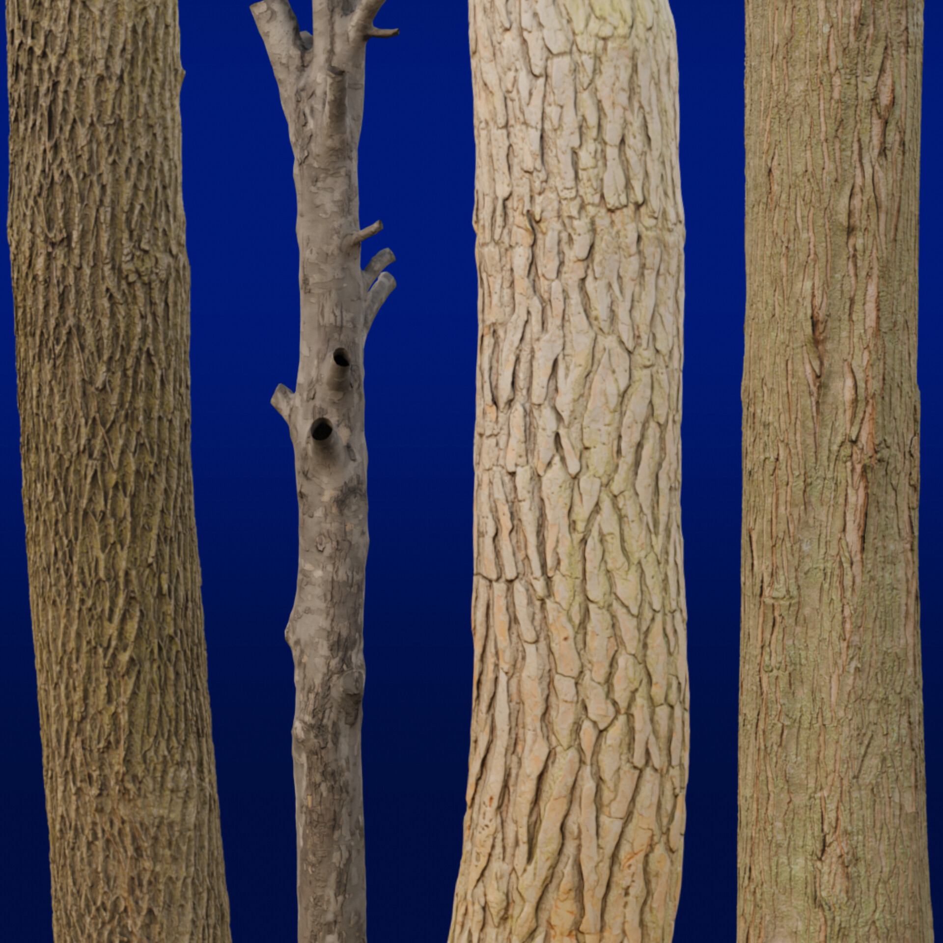 Joseph Brandenburg - Tree Bark Photogrammetry Models and PBR Materials