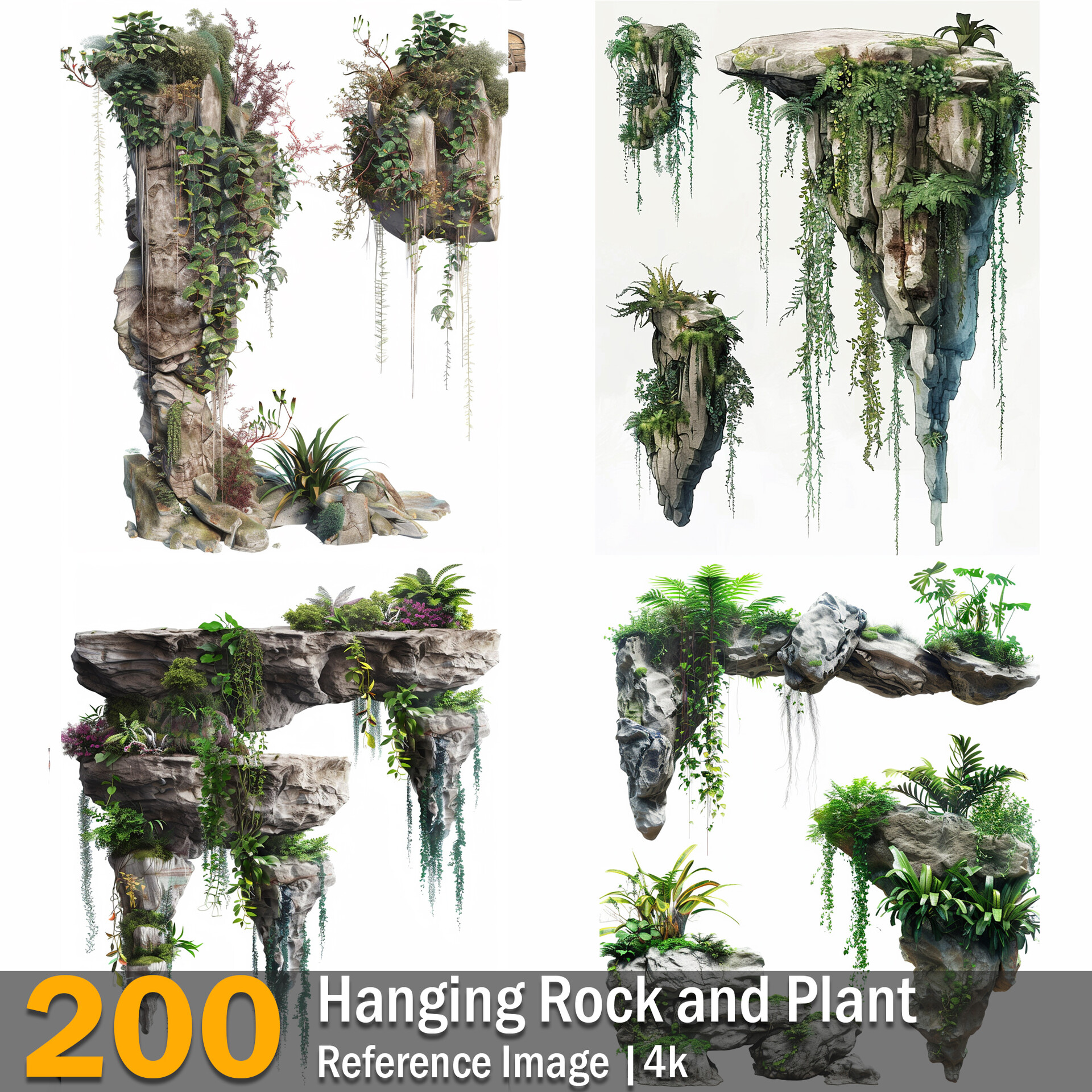 ArtStation - Hanging Rock and Plant | Reference Images | 4K